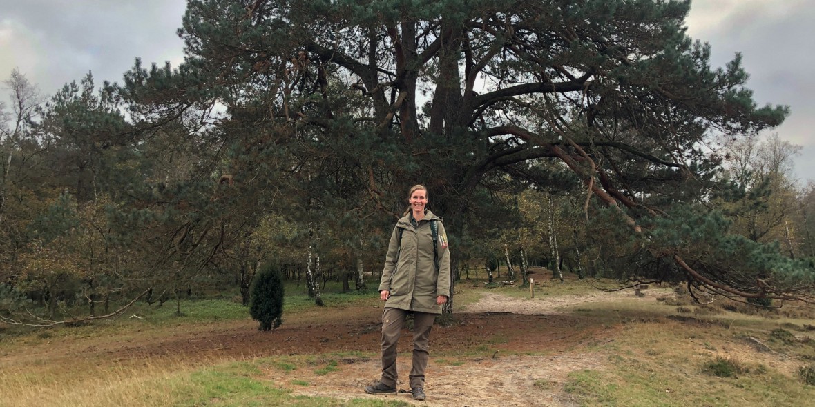 Wandelen met het Geldersch Landschap en Kasteelen - Wandelnet