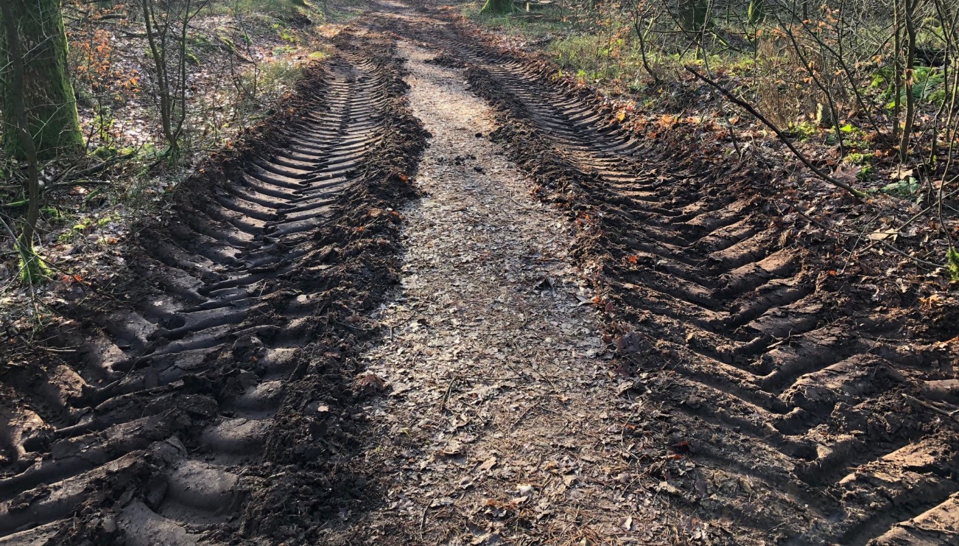 Lentekriebels op NS-wandeling Elsterberg - Wandelnet
