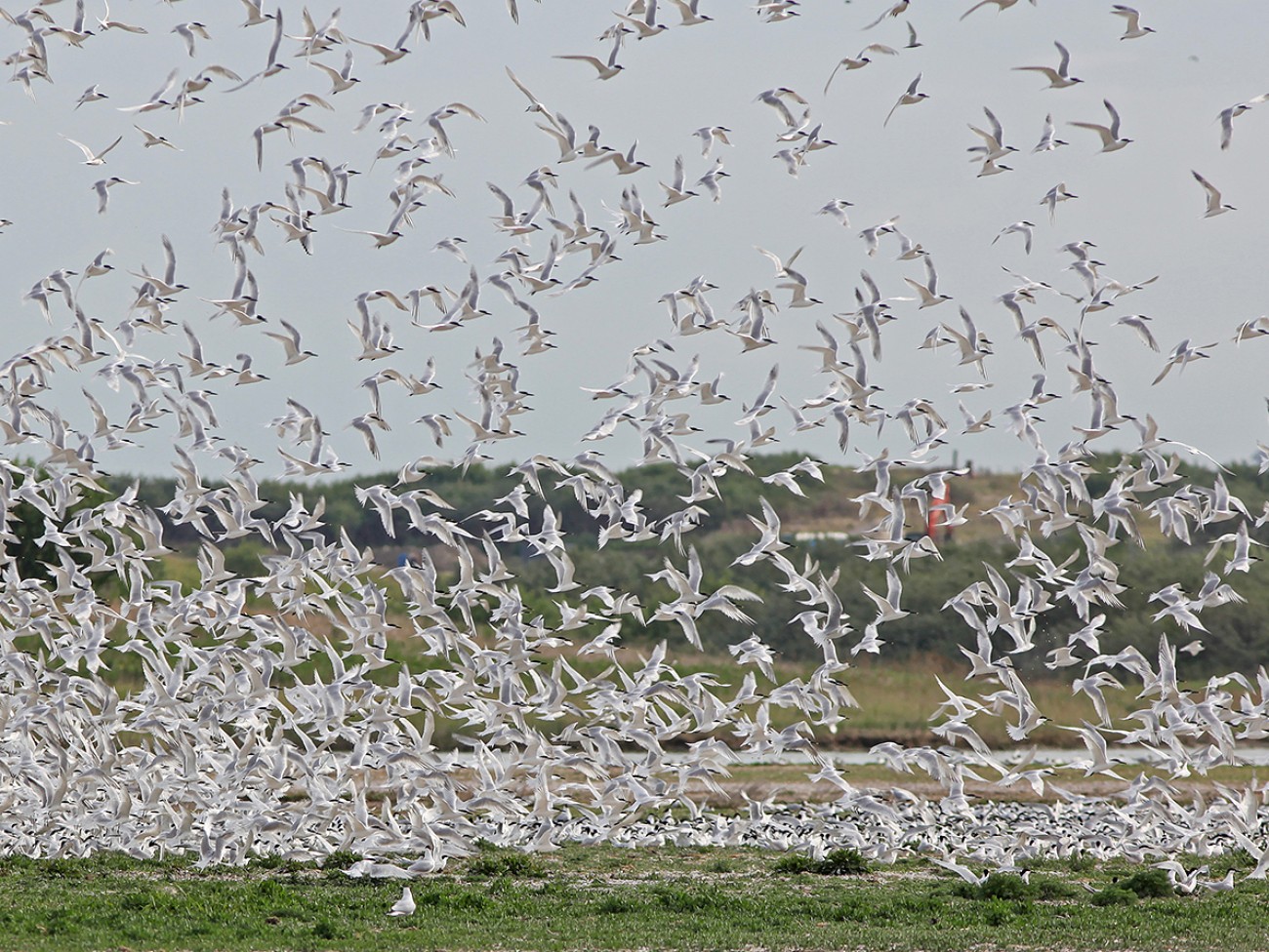 Wandelen met Het Zeeuwse Landschap - Wandelnet