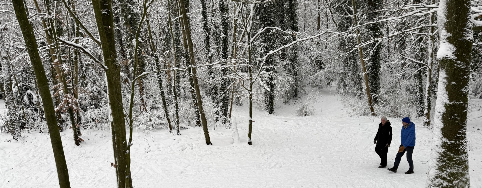 Wandelnet | Mooiste wandelroutes - Wandelnet