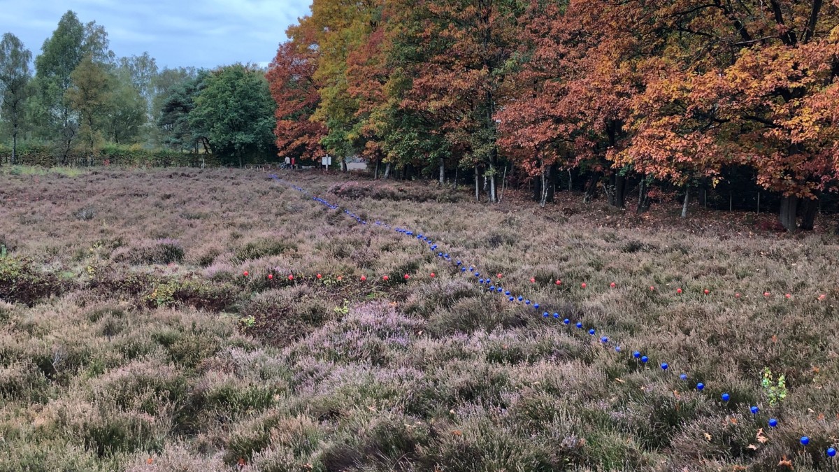 Herfstwandeling Gelderse Vallei - Wandelnet