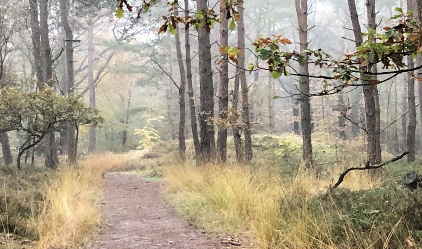 Wandelen met het Geldersch Landschap en Kasteelen - Wandelnet