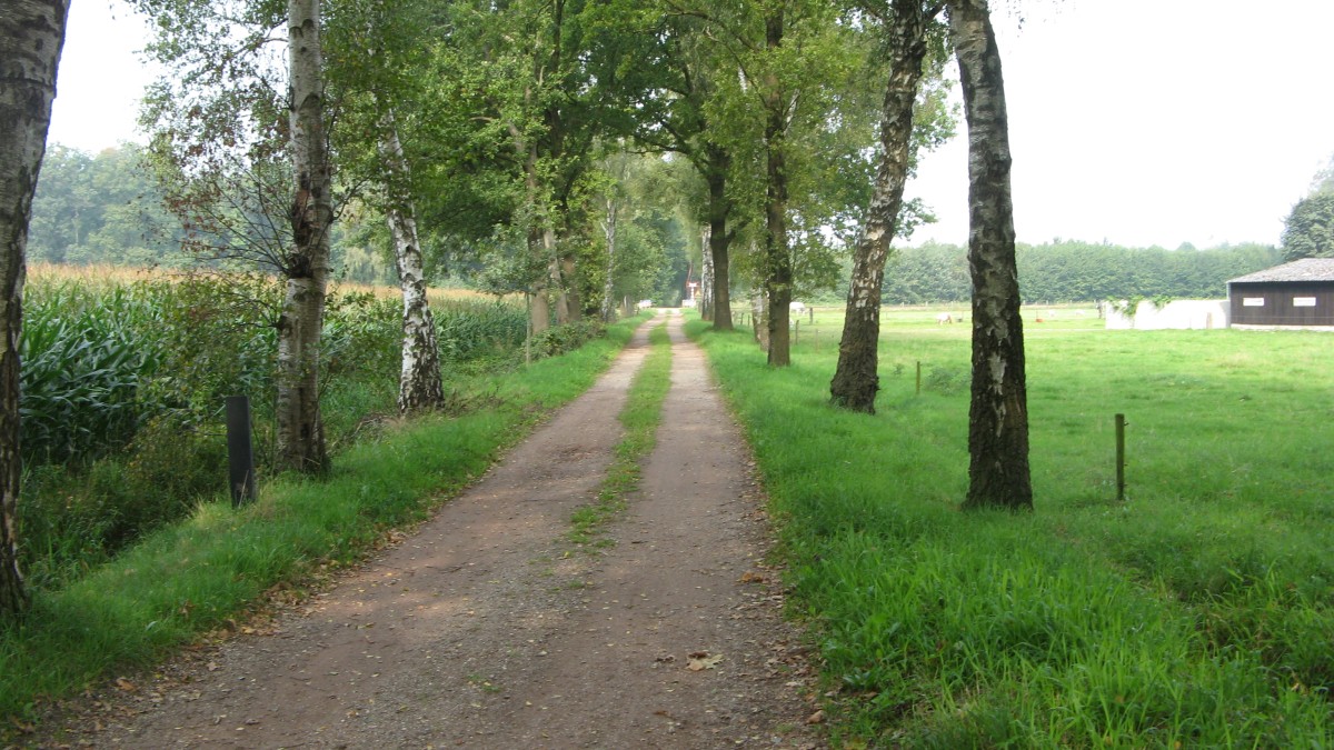 Winterswijk vervangt onbewaakte overweg toch door tunneltje! - Wandelnet